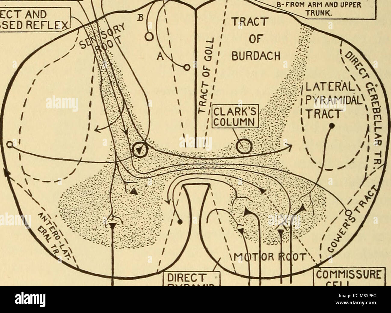 'How to Keep Well' (1917) by Dr. Evans offers practical health advice ...