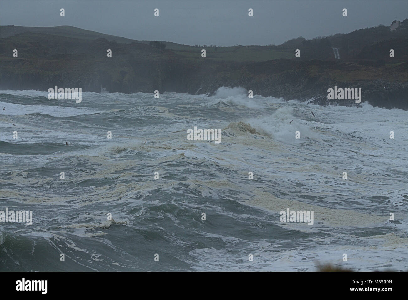 March winds hi-res stock photography and images - Alamy