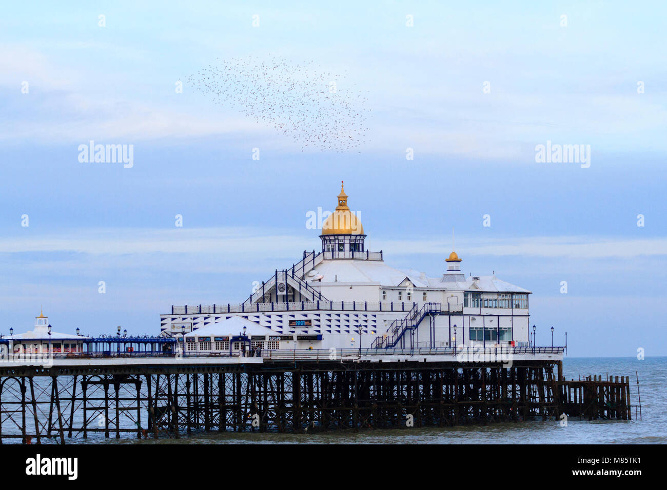Eastbourne, UK. 14 Mar 2018. UK weather. A flock of Starlings murmurate ...