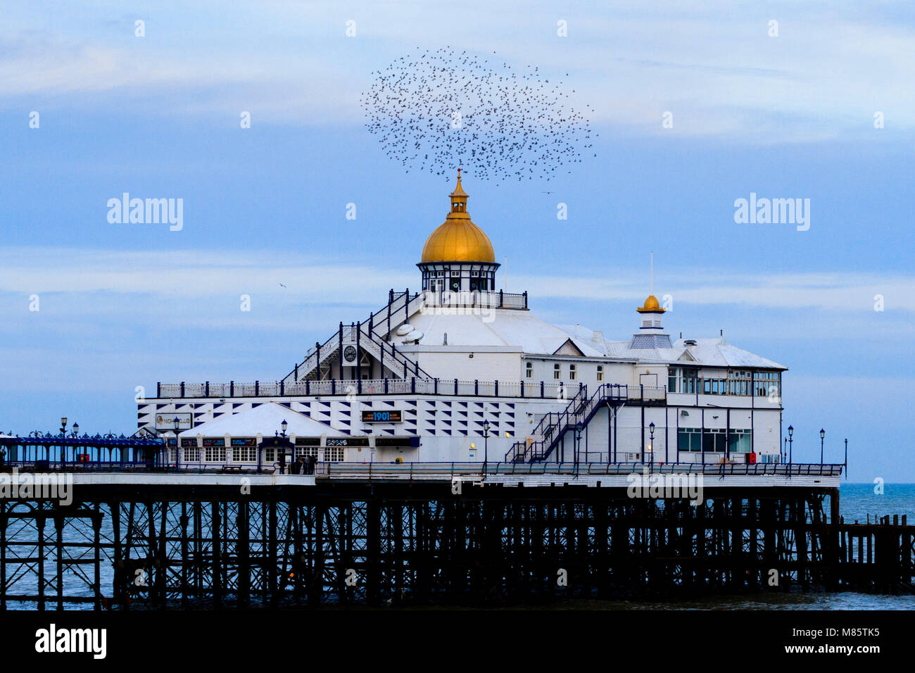 Eastbourne, UK. 14 Mar 2018. UK weather. A flock of Starlings murmurate ...