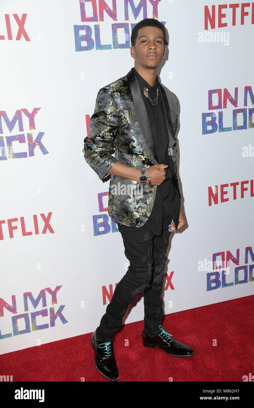 Los Angeles, California, USA. 14th March, 2018. Brett Grey. Premiere of ...