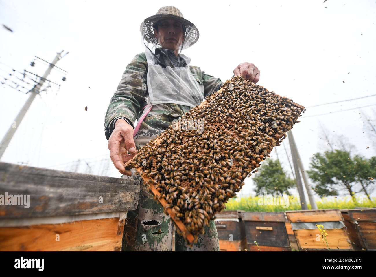 Qianjiang, China's Hubei Province. 14th Mar, 2018. A beekeeper works in ...