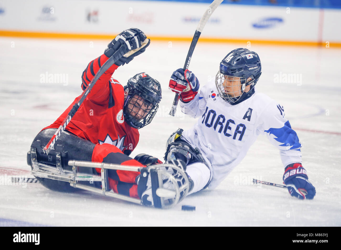 Steve arsenault hi-res stock photography and images - Alamy