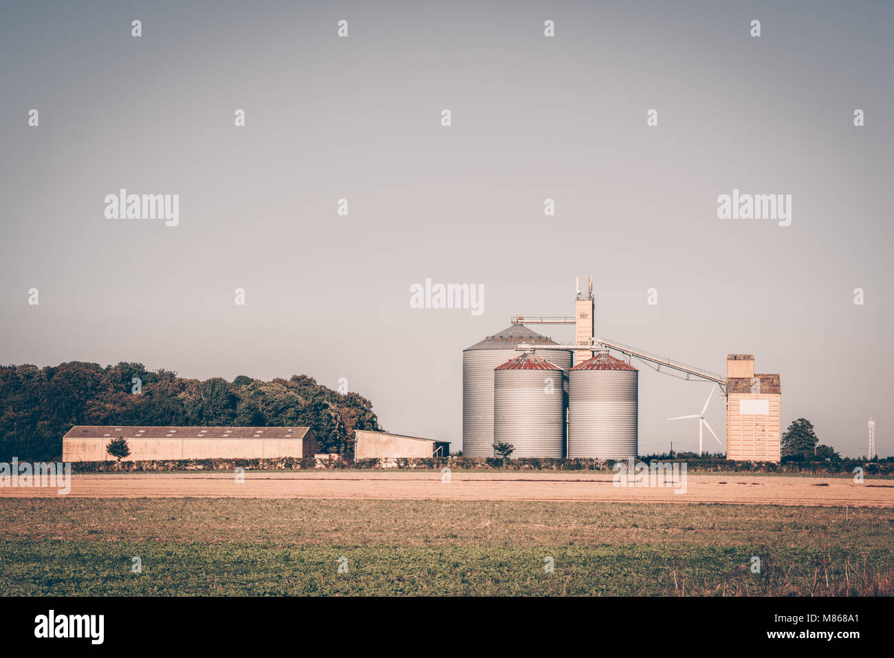 Farm grain silos in a field. Agriculture landscape Stock Photo - Alamy