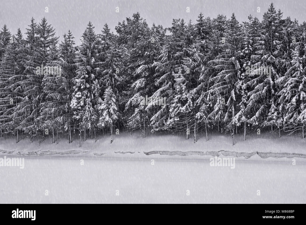 14 de winter hi-res stock photography and images - Alamy