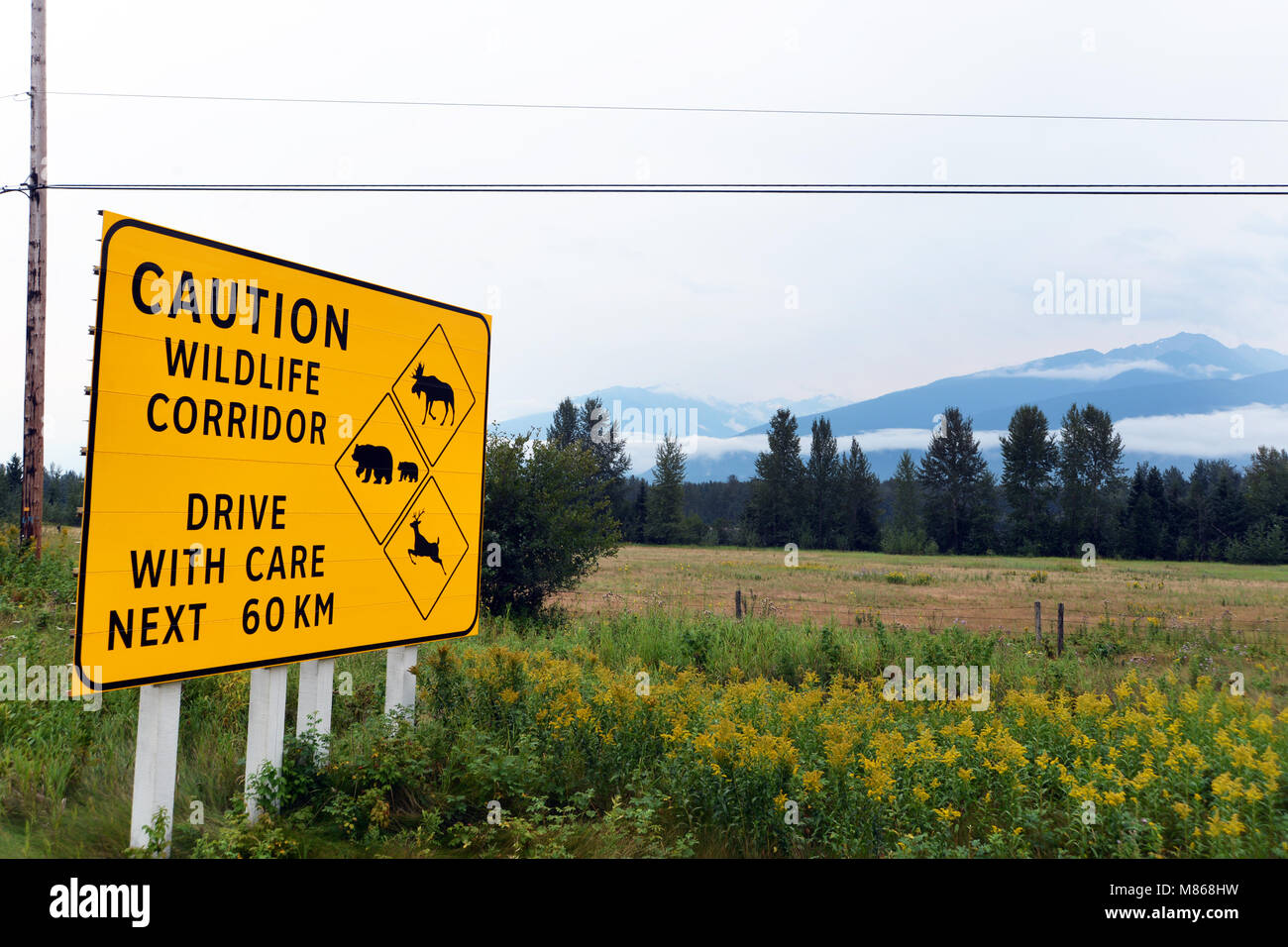 Wildlife corridor through beautiful Canadian Rockies, Fraser-Fort Stock ...