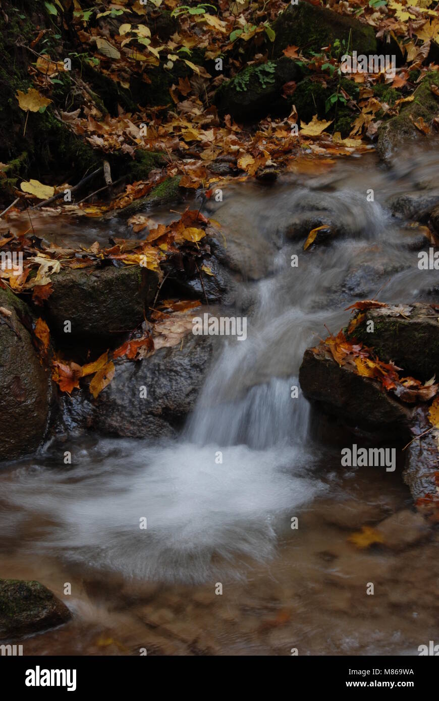 Soft focus background rocks hi-res stock photography and images - Alamy