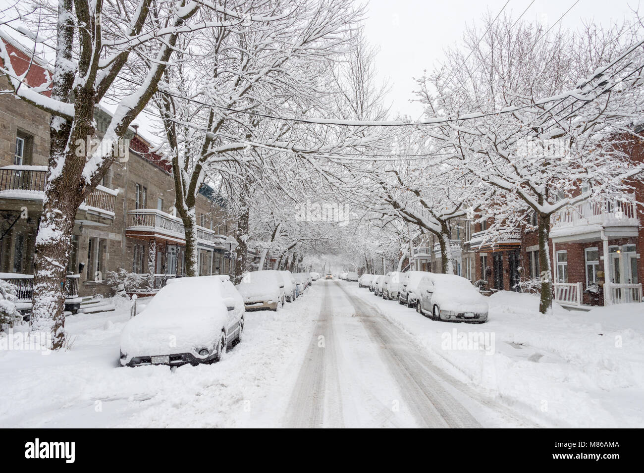 City street and cars covered in snow during winter storm in Montreal ...