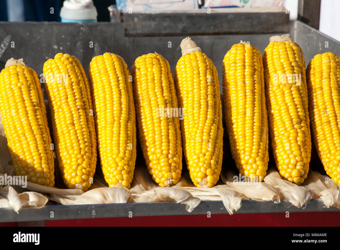 Row of freshly cooked corn, street food in Mexico City Stock Photo - Alamy