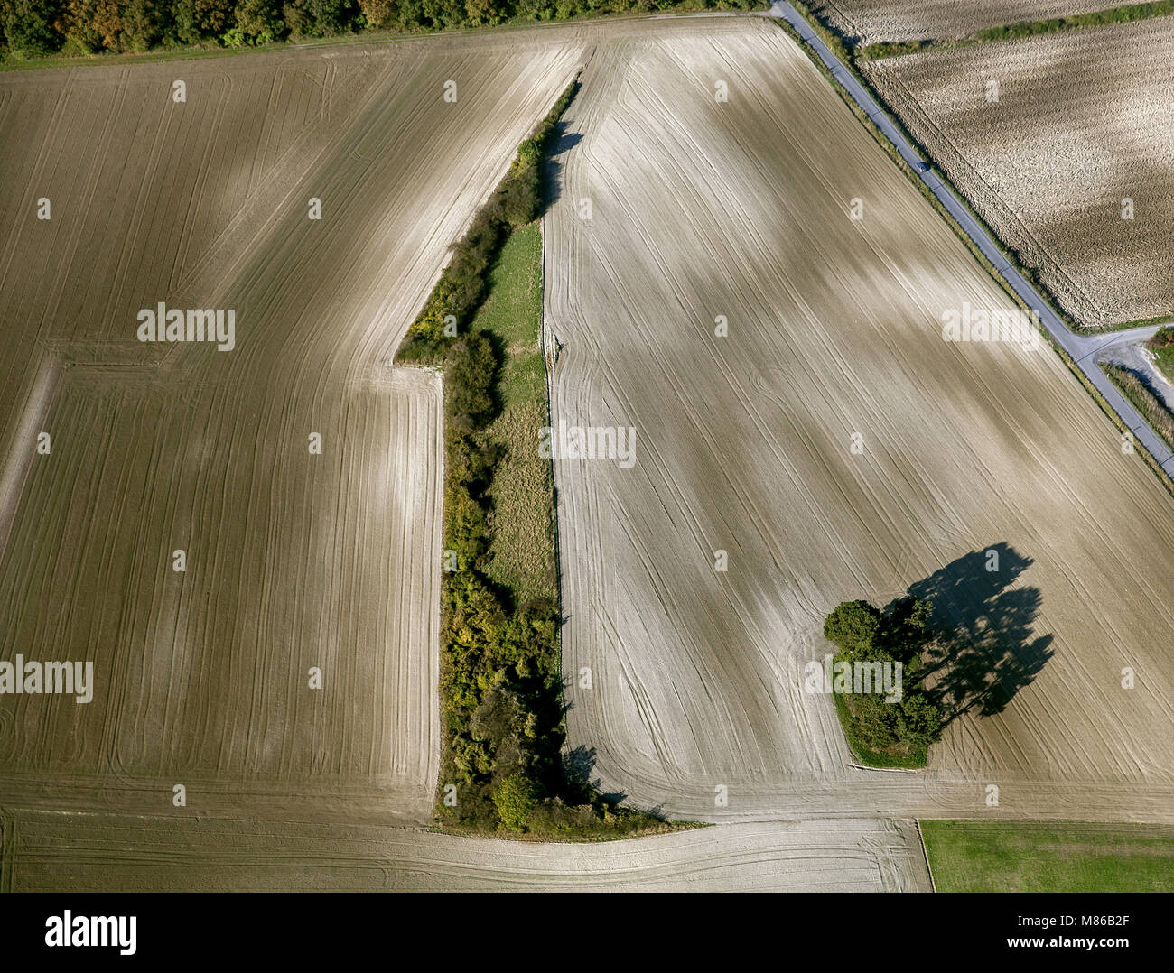 Aerial view of hedgerows in hi-res stock photography and images - Alamy