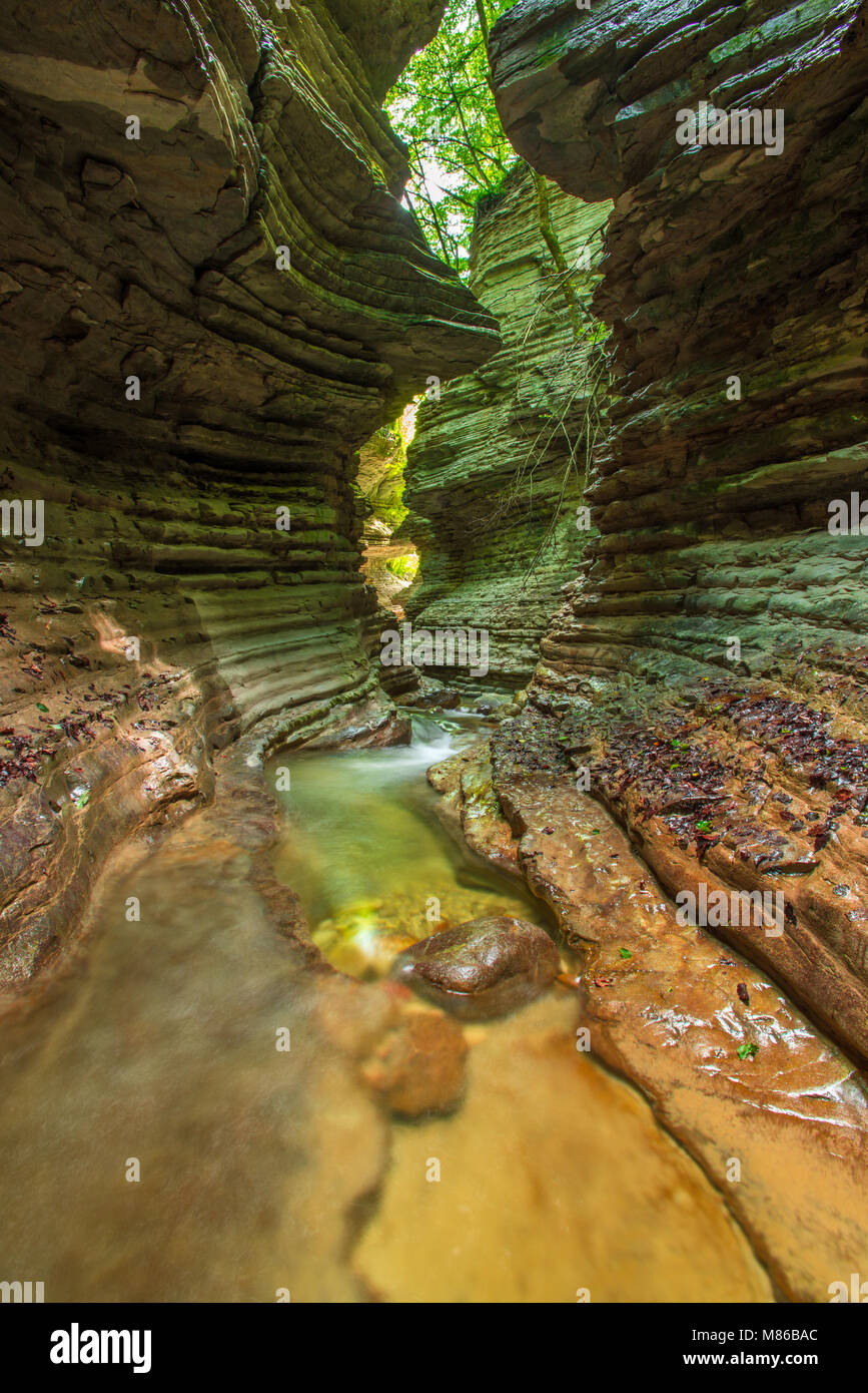 Creek flowing between dramatic canyon walls that are geological wonders ...