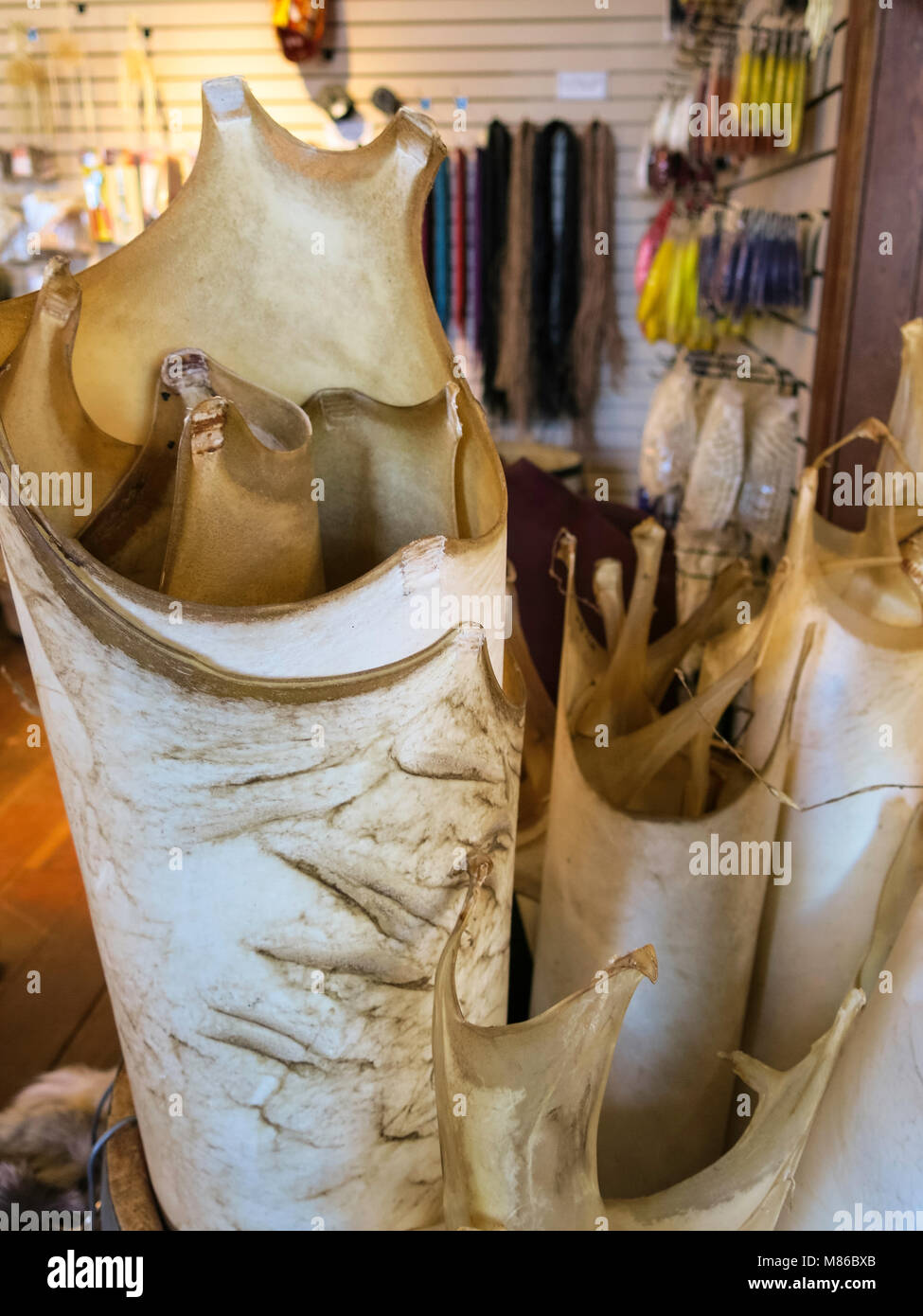 Rawhide in the Prairie Edge Store Interior, Rapid City, Black Hills, South Dakota, USA Stock ...