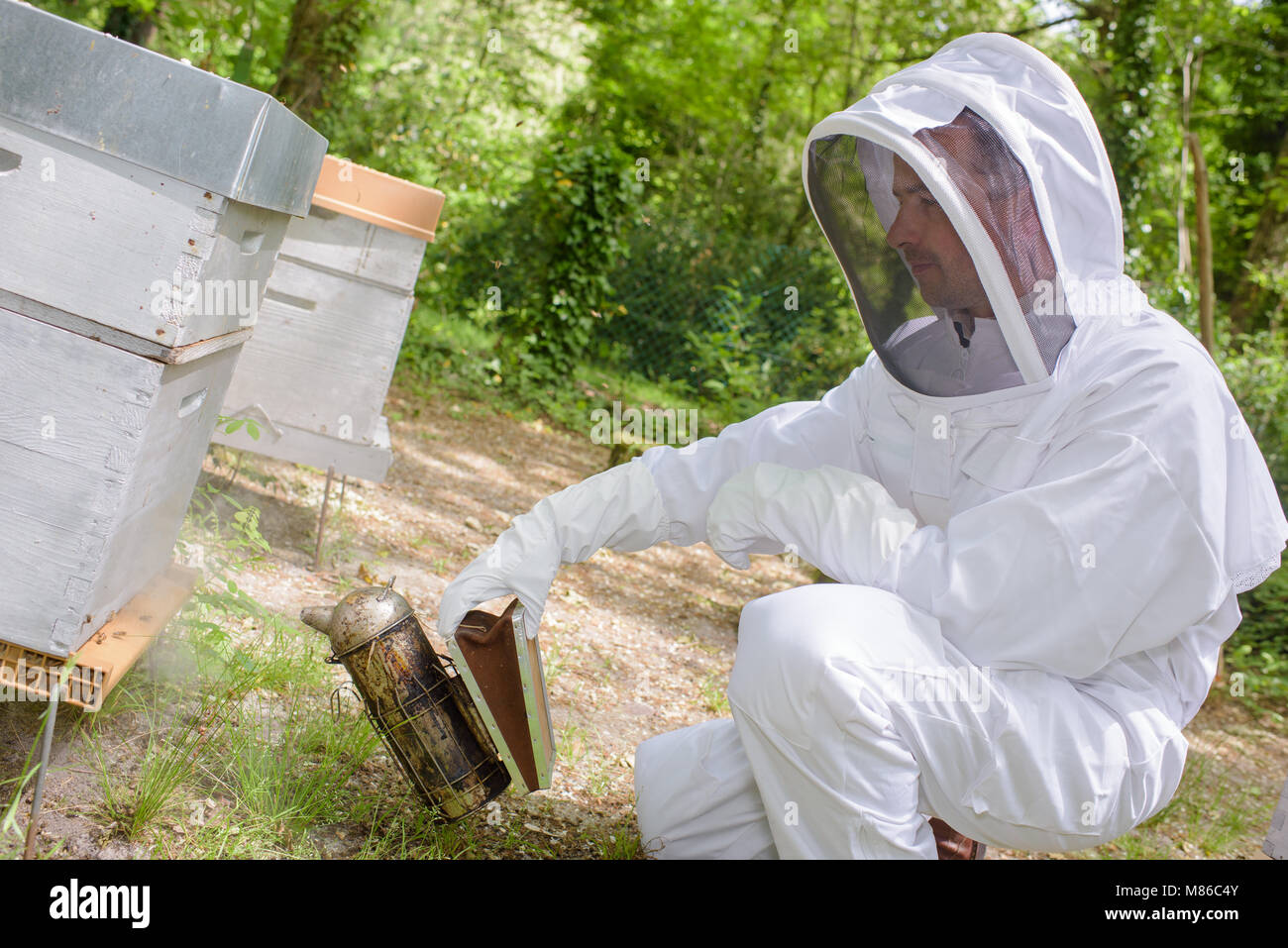 apiarist in the yard Stock Photo - Alamy