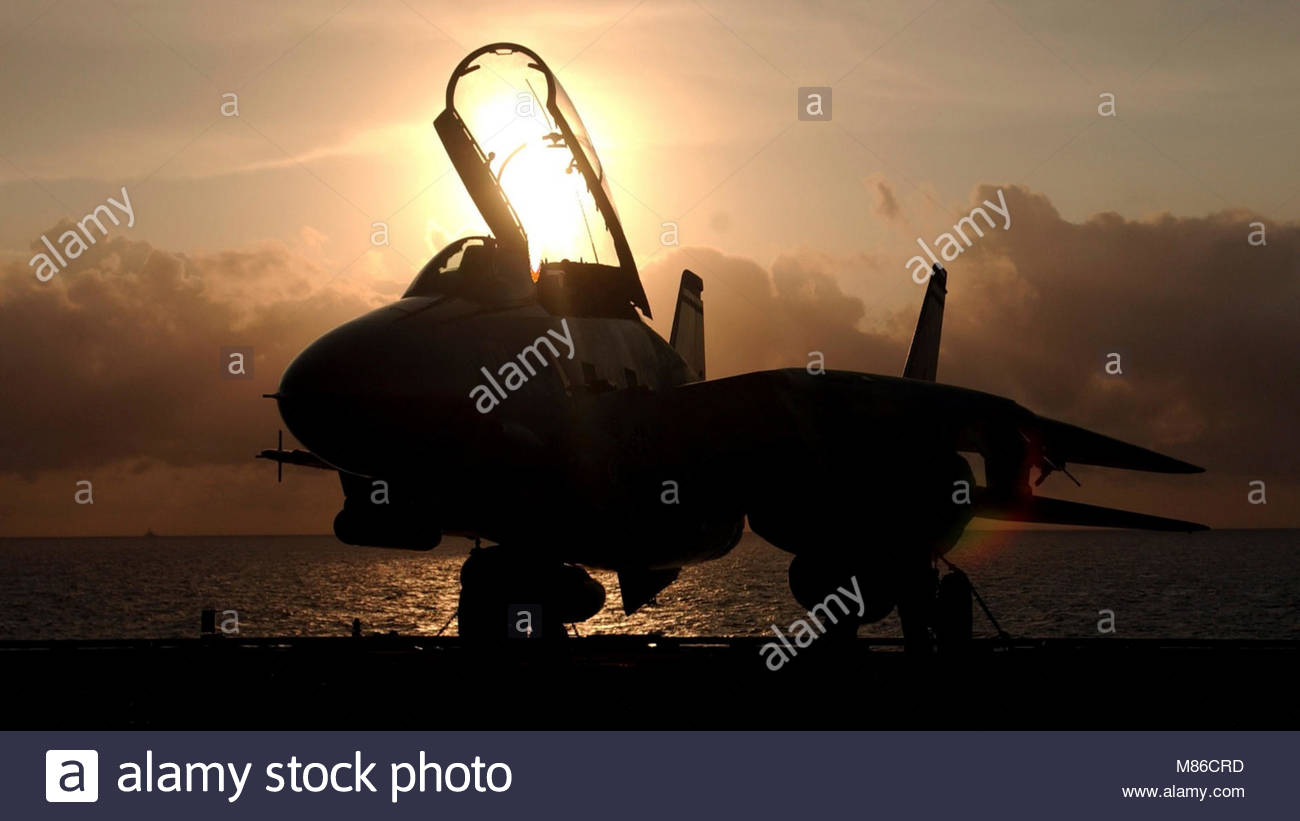 Grumman F 14 Tomcat High Resolution Stock Photography and Images - Alamy