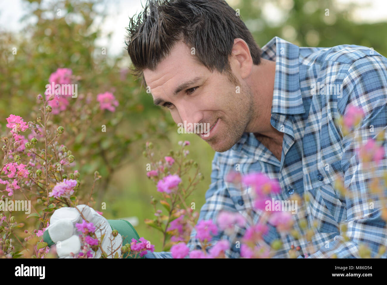 nature scientist observing a wild flower Stock Photo - Alamy