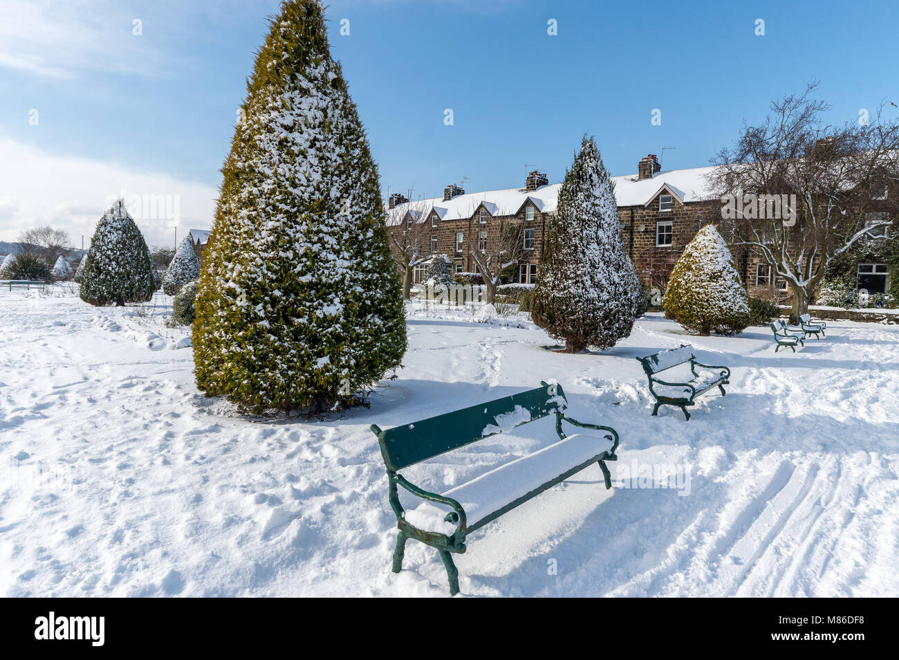 Crunchy snow hi-res stock photography and images - Alamy