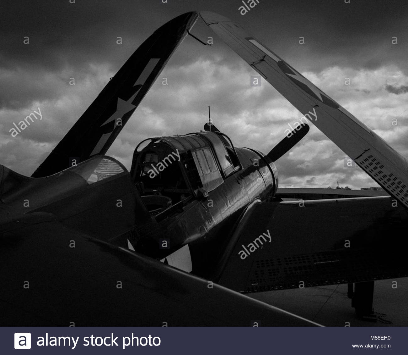 Helldiver Black and White Stock Photos & Images - Alamy