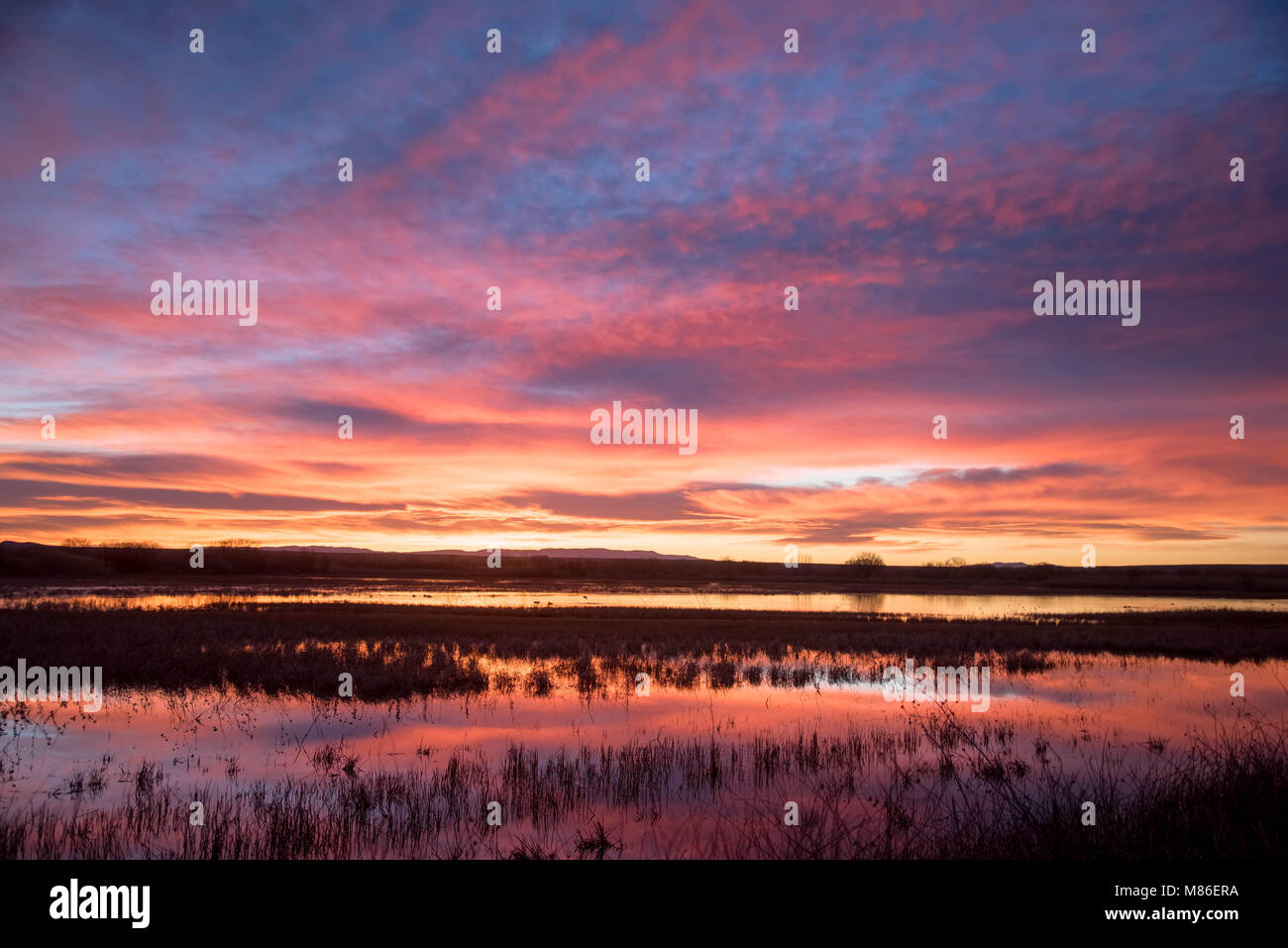 Dawn over Bosque del Apache National Wildlife Refuge, New Mexico, USA ...