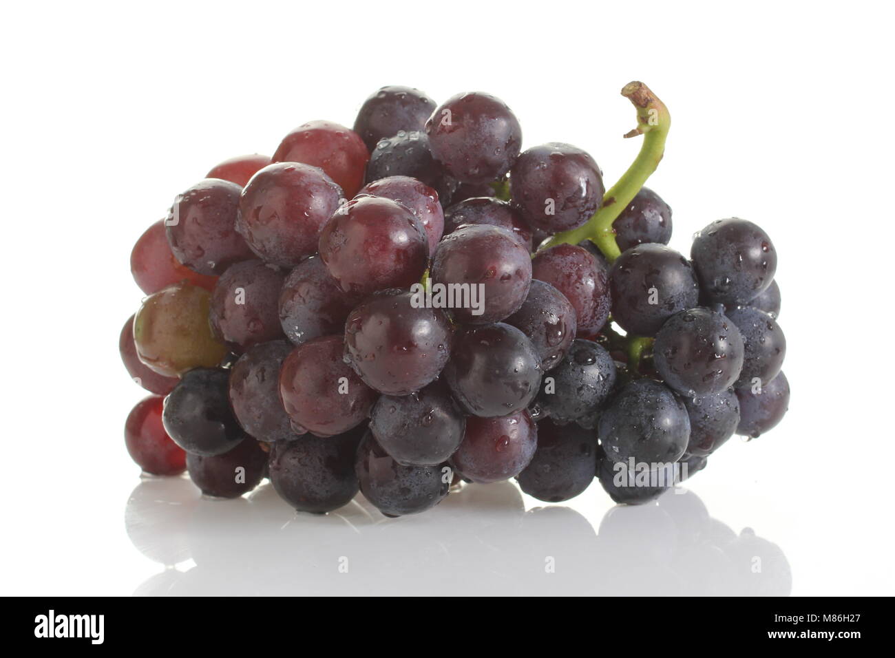 Dimocarpus longan, is a that produces edible fruit Stock Photo - Alamy