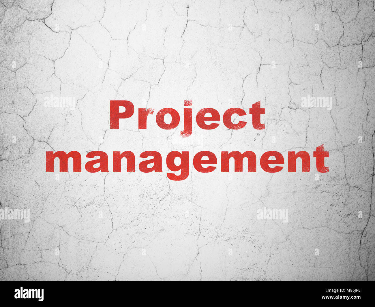 Finance concept: Project Management on wall background Stock Photo - Alamy