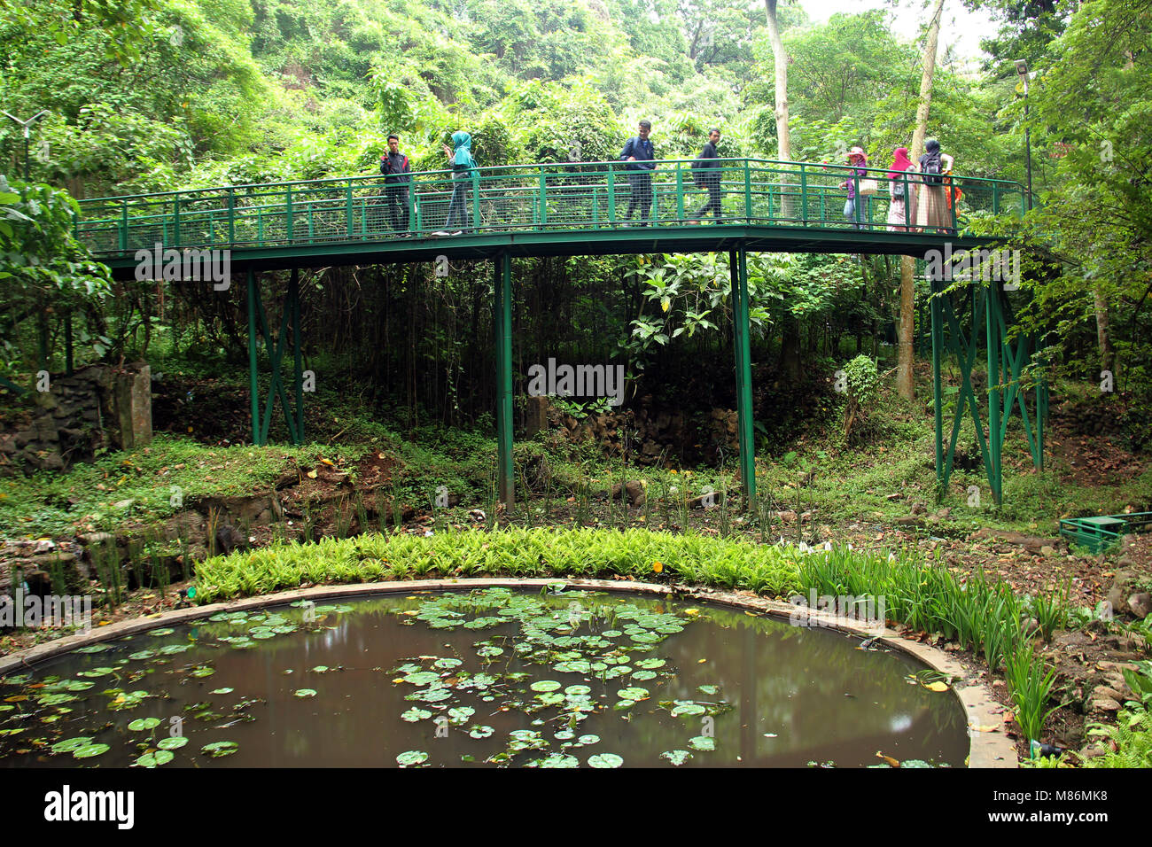 Forest city in Bandung, Wet Java, Indonesia Stock Photo - Alamy