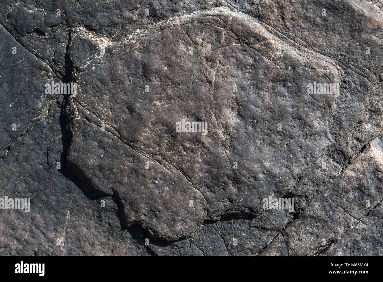 surface of natural hard rock illuminated by the sun Stock Photo - Alamy