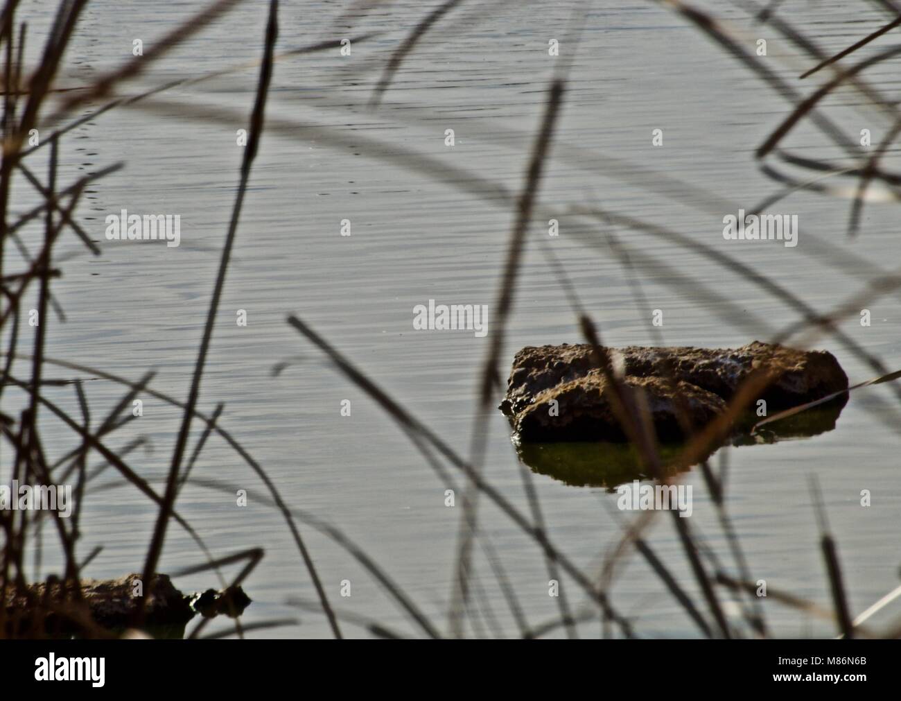 Rocks and Water Still Life Abstract Camera Art Stock Photo - Alamy