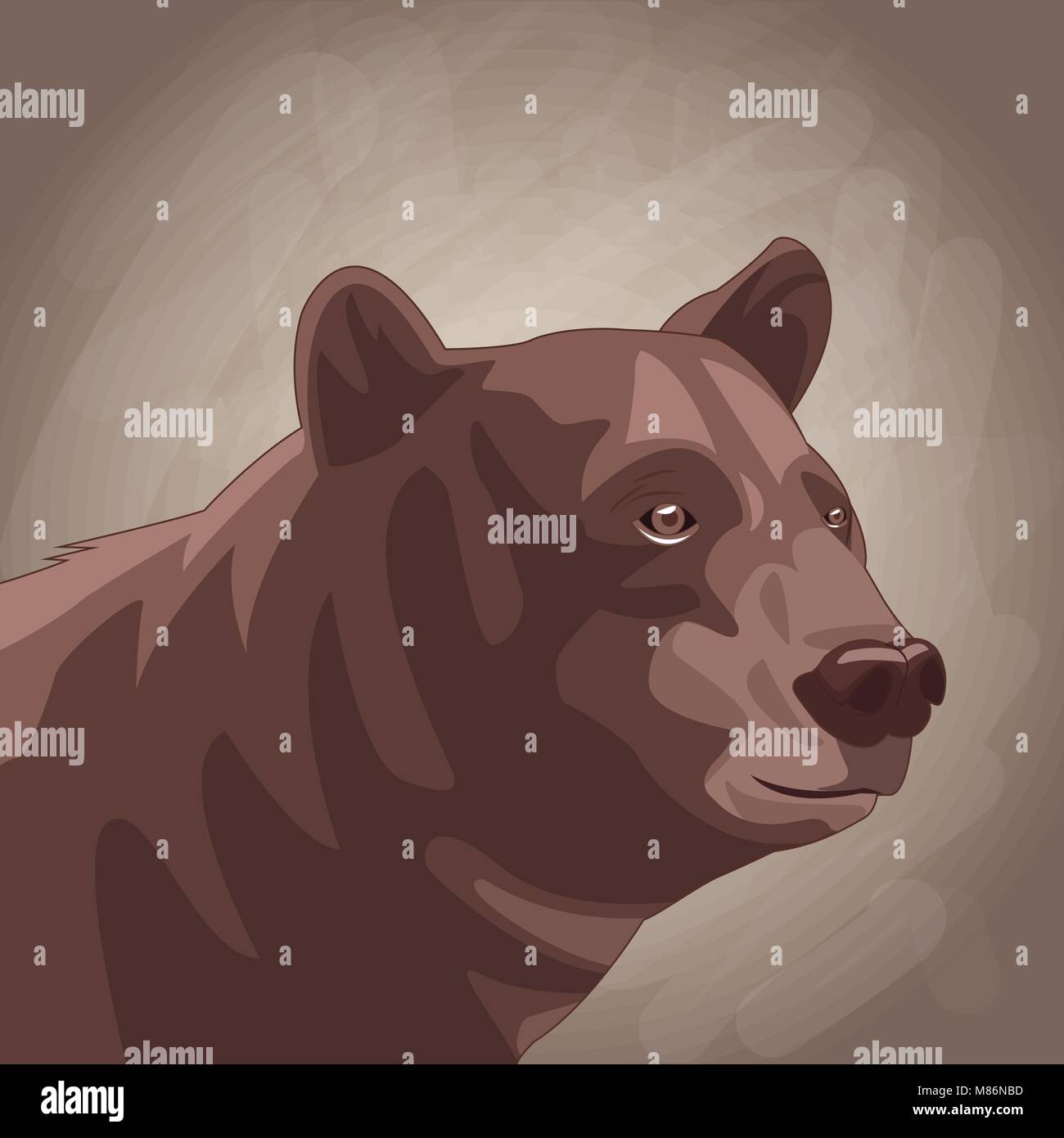 Bear drawing over brown background vector illustration graphic design ...