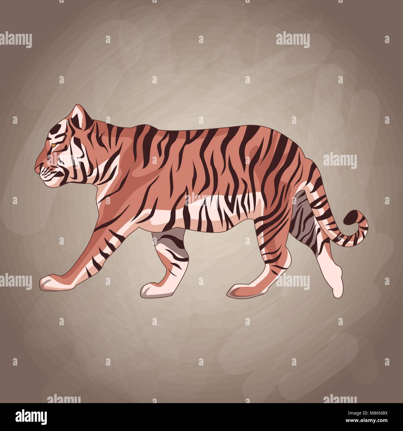 Tiger drawing over brown background vector illustration graphic design ...