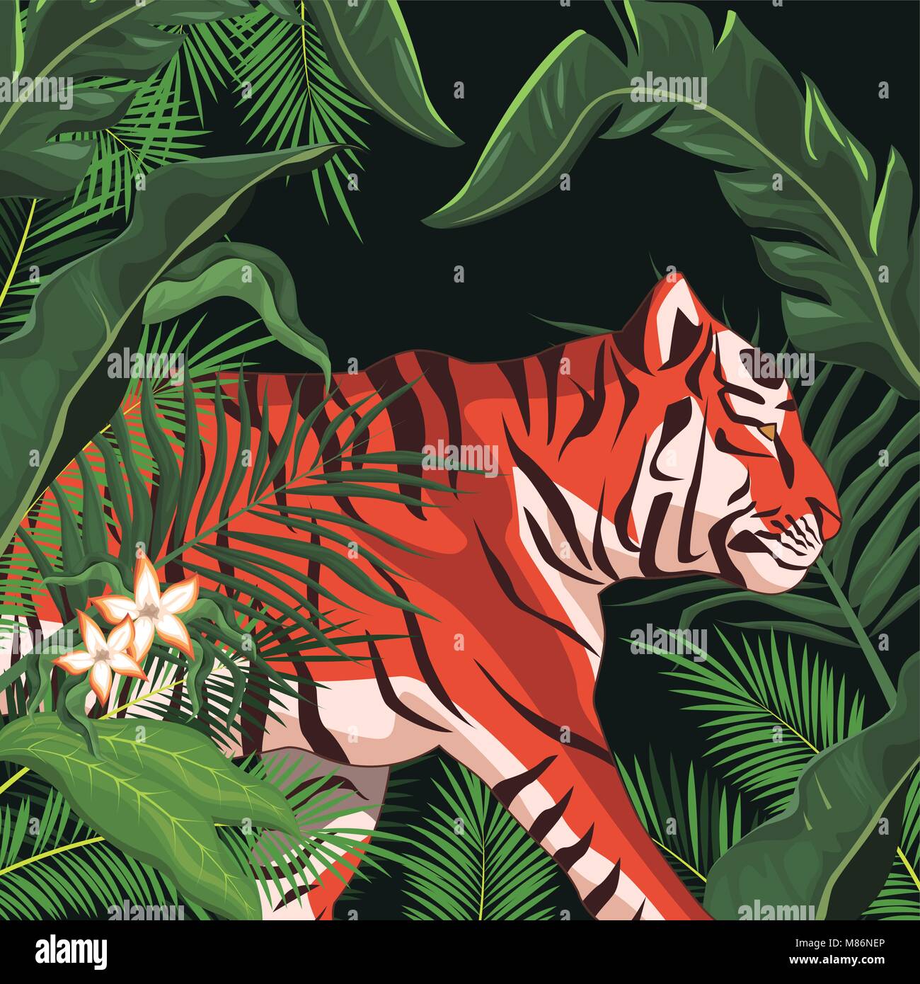Tiger drawing in the jungle vector illustration graphic design Stock Vector Image & Art - Alamy