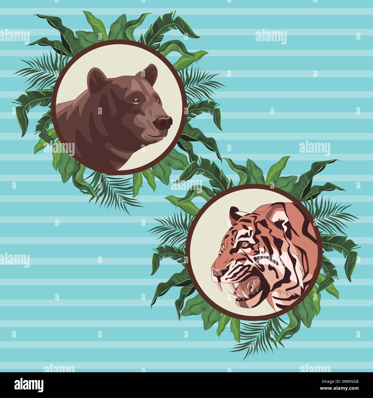 Bear and tiger drawing over blue background vector illustration graphic ...
