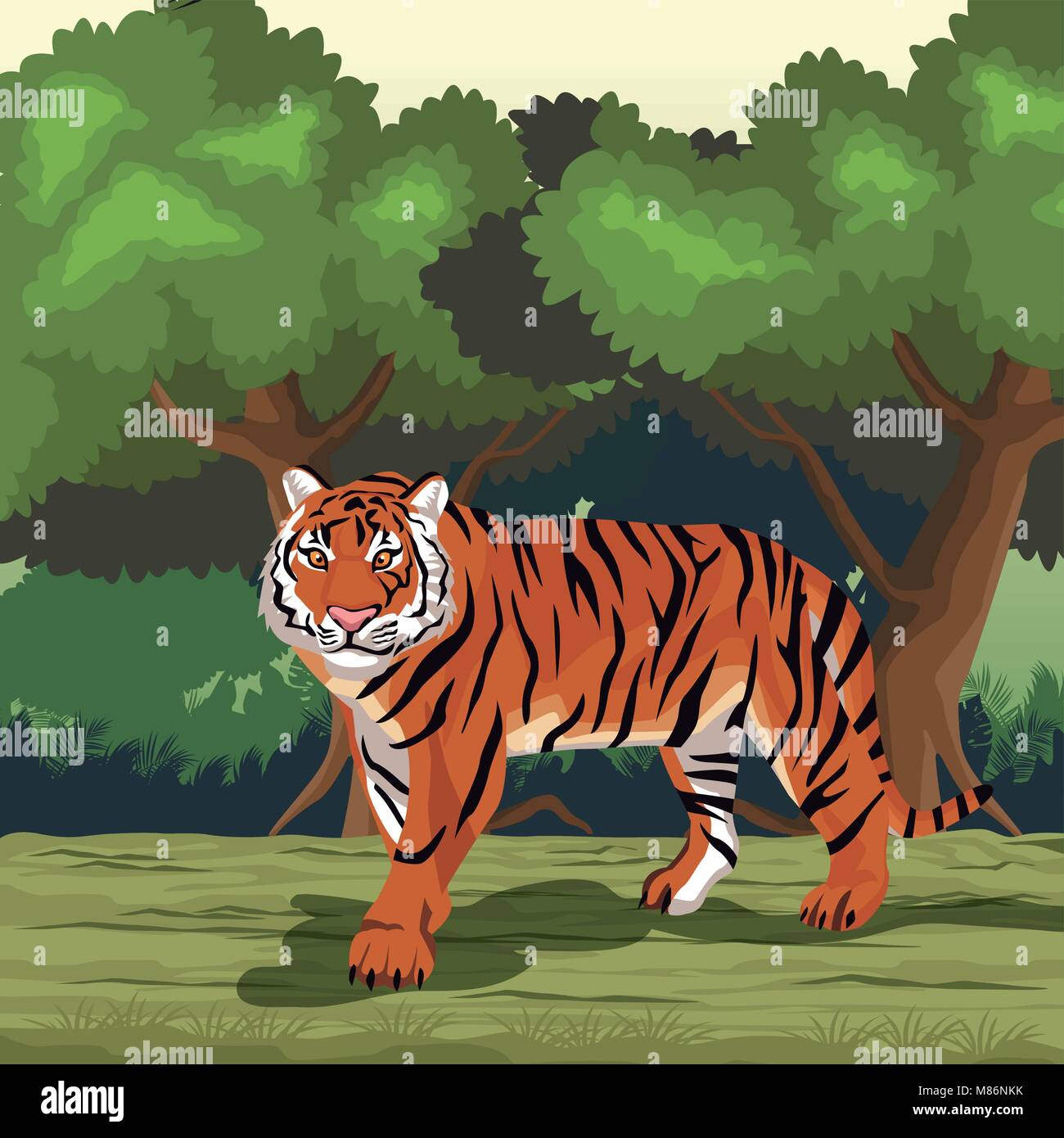 Tiger in the jungle vector illustration graphic design Stock Vector Image & Art - Alamy