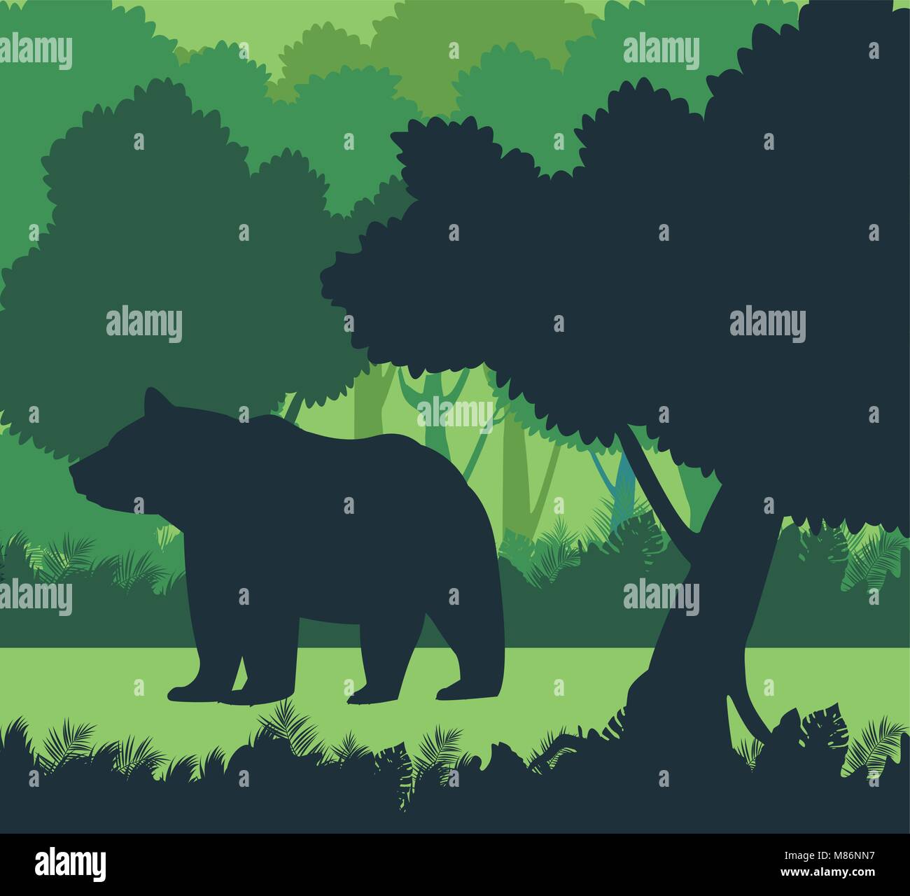 Bear in the jungle shadows vector illustration graphic design Stock ...