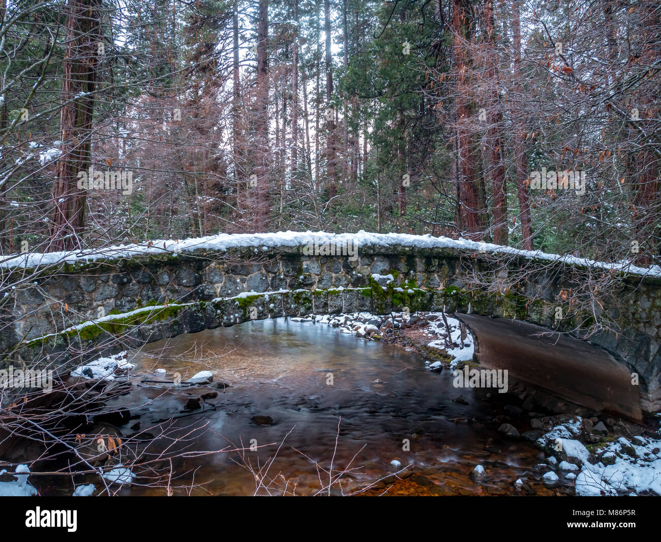 Moss Covered Rock Bridge in the Middle of the Forest Stock Photo - Alamy