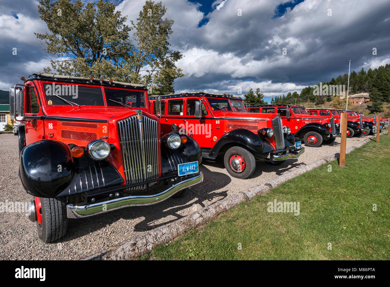 Red Jammers, restored 1930s White Motor Company coaches near entrance ...