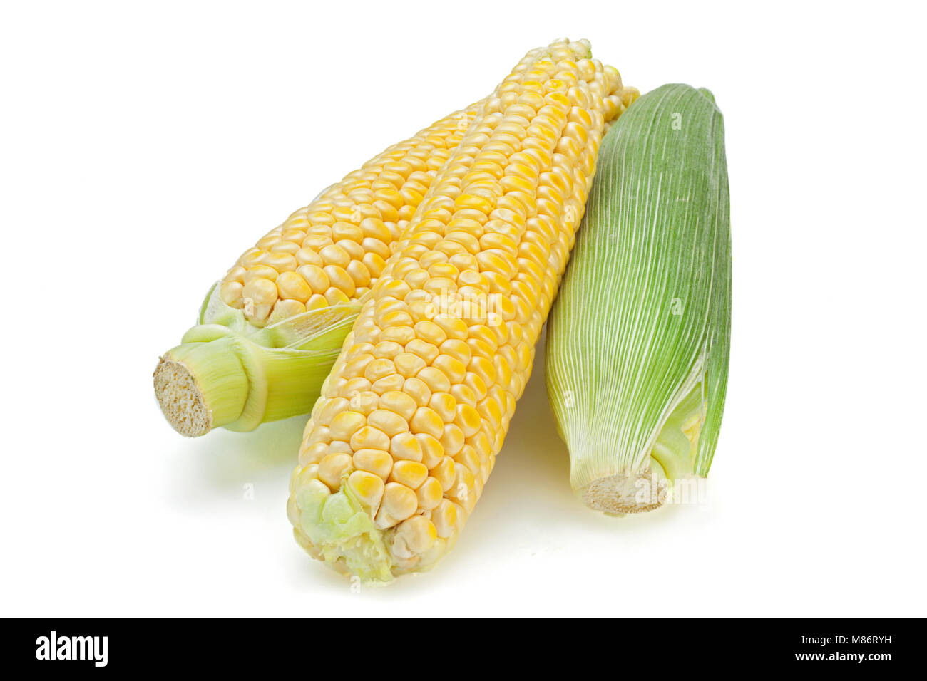Raw sweet corn isolated on white background Stock Photo - Alamy