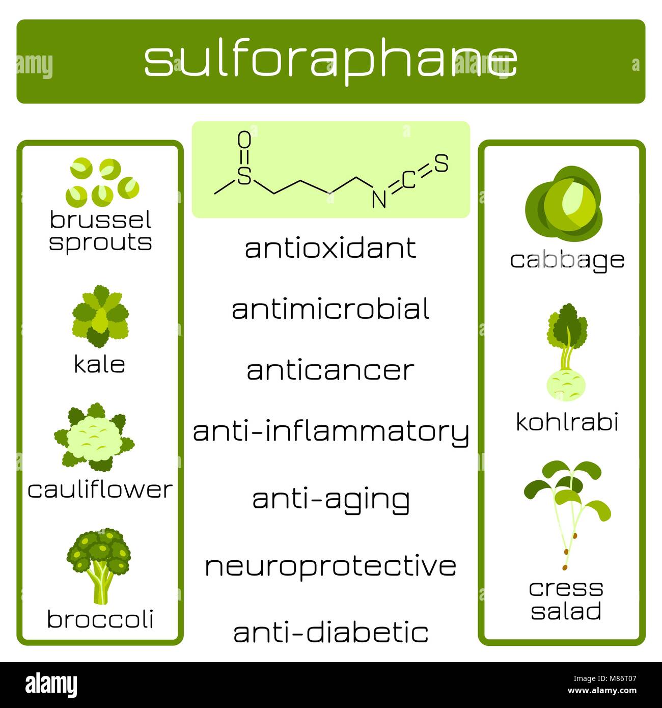 Infographics. Sulforaphane organic compound of plant origin with anti ...