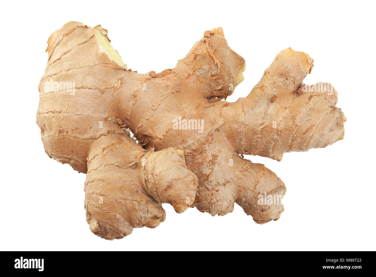 Ginger spice root isolated on white background Stock Photo - Alamy