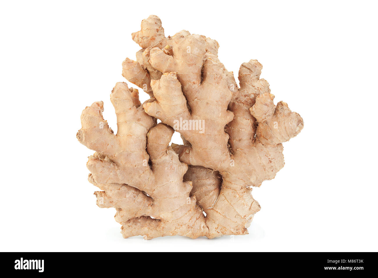 Ginger spice root isolated on white background Stock Photo - Alamy