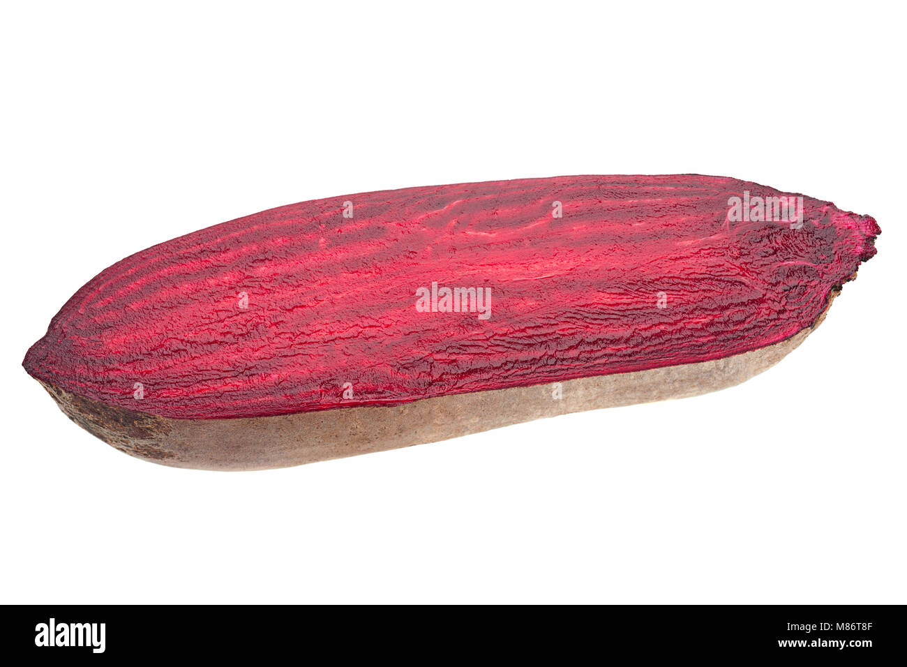 Long beet root vegetable closeup isolated on white Stock Photo - Alamy
