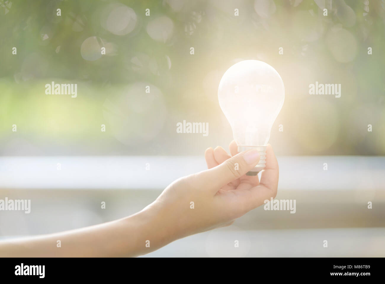 Hand hold light bulb on green bokeh background Stock Photo - Alamy
