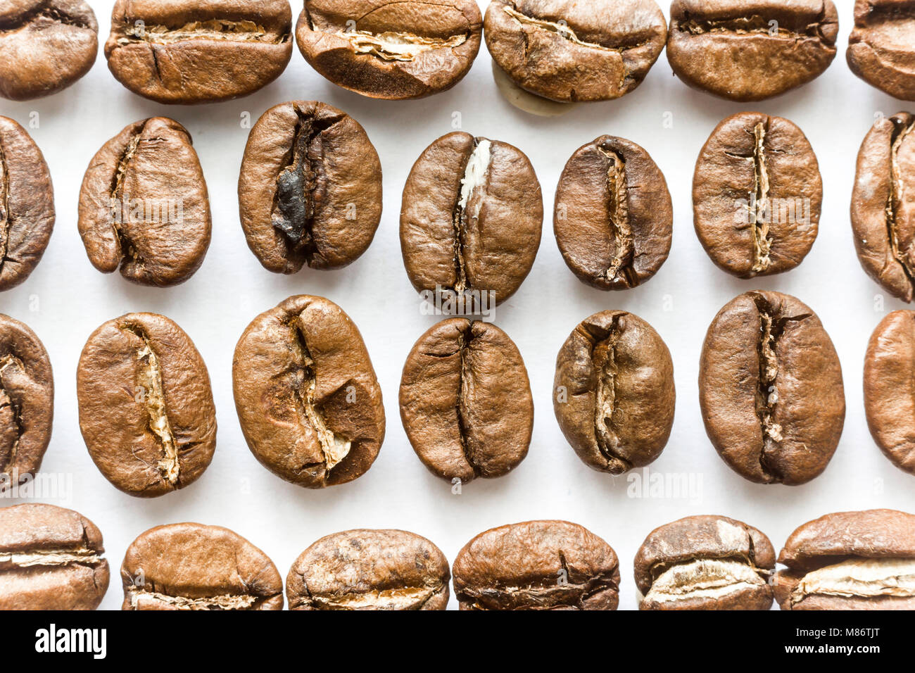 Horizontal and vertical rows of coffee beans.Different shapes and ...