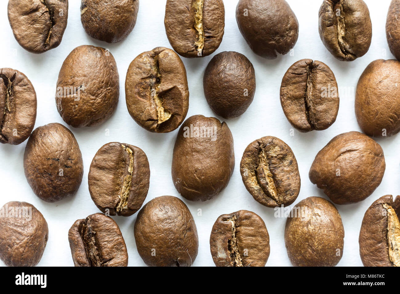 Rows of coffee beans.Front and back of beans.Different shapes and ...