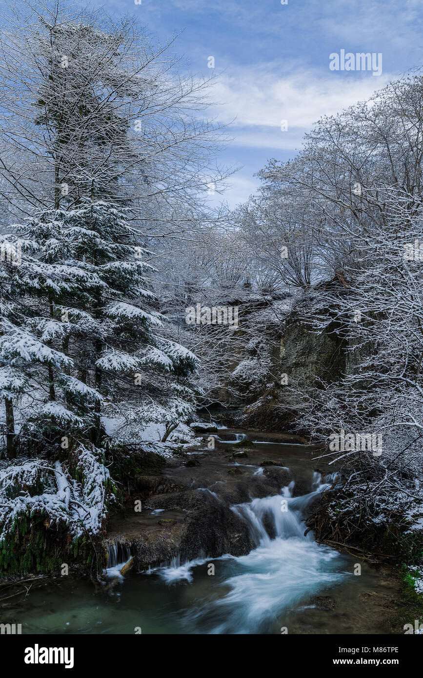 River flowing through a woodland hi-res stock photography and images ...