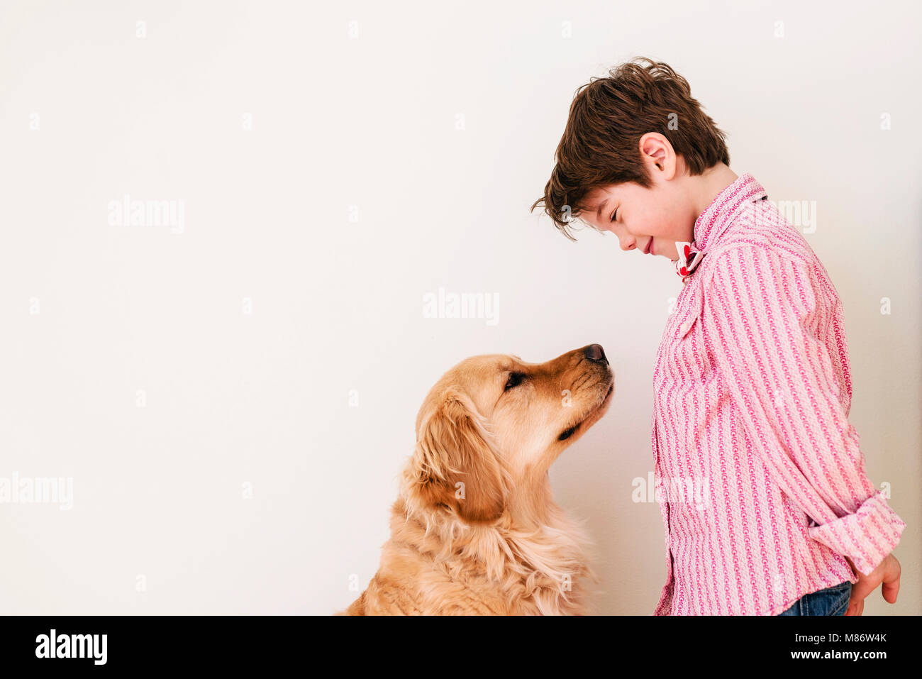 Boy looking at his golden retriever dog Stock Photo - Alamy