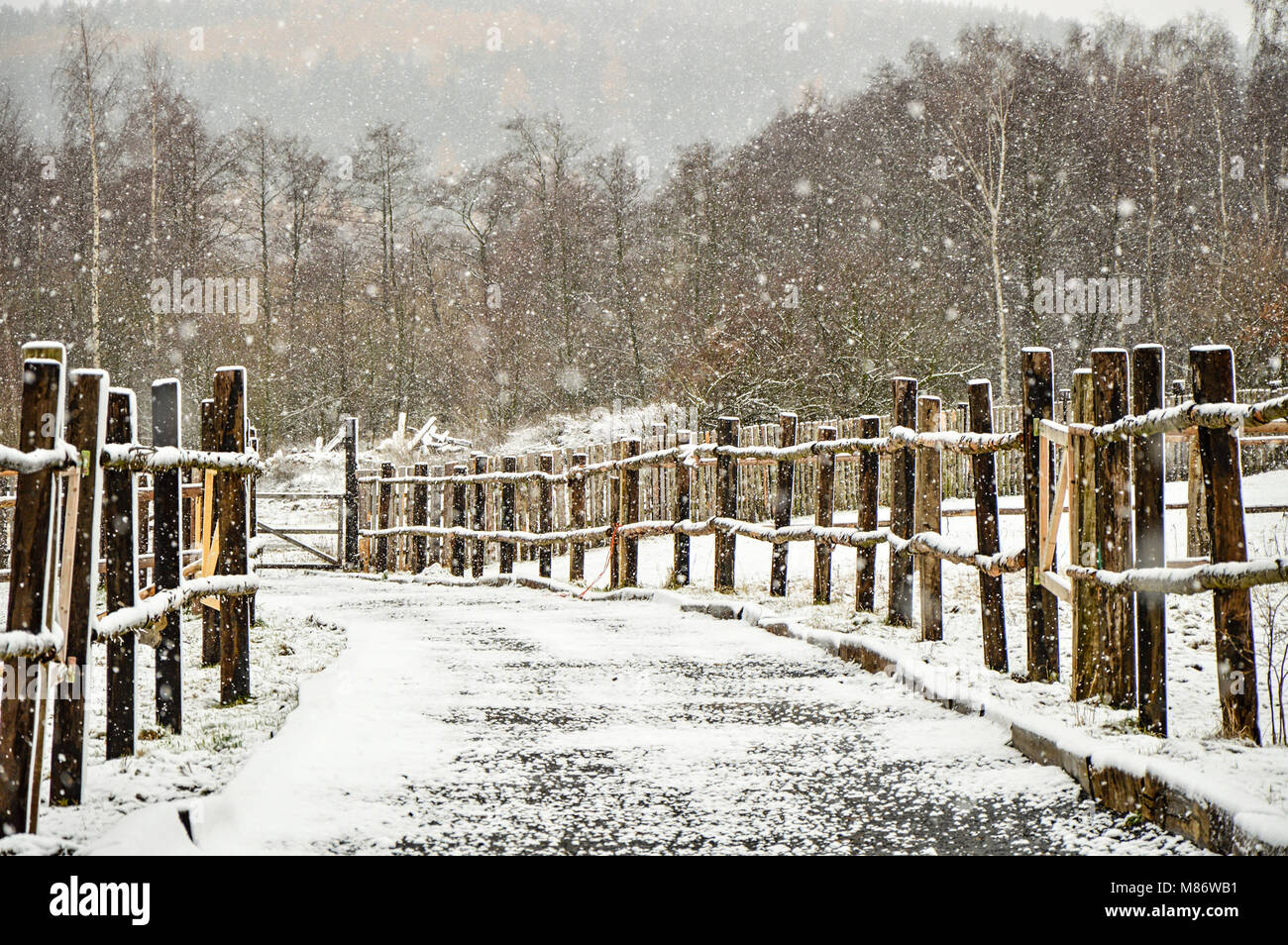 Ranching conditions hi-res stock photography and images - Alamy