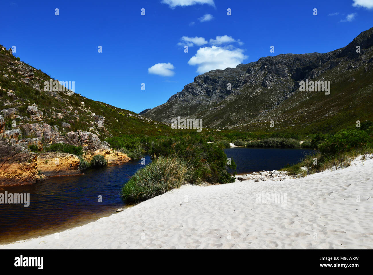 Kogelberg Nature Reserve, Cape Town, South Africa Stock Photo - Alamy
