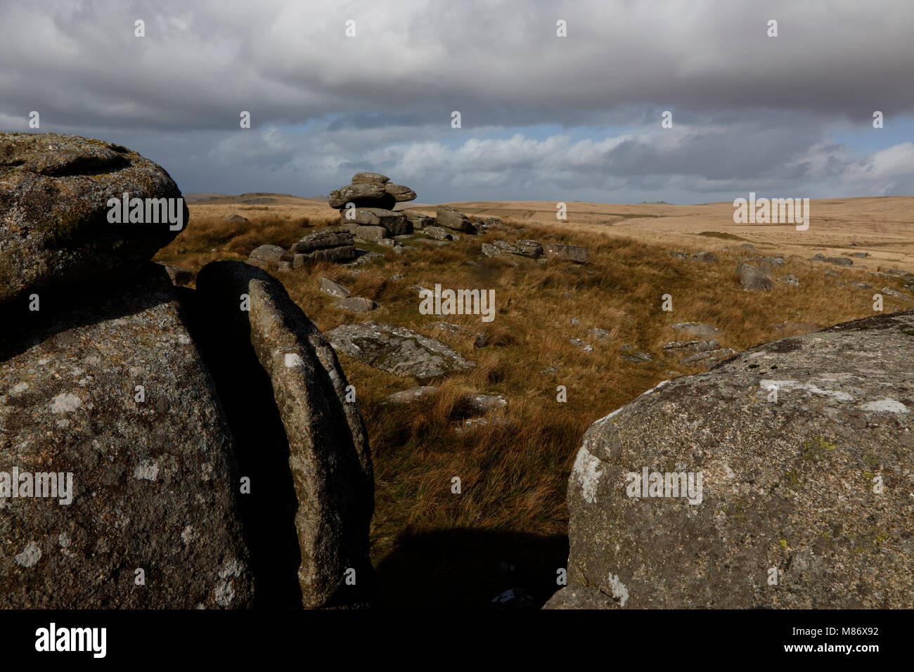 Black Tor on Walkhampton Common, Dartmoor, Devon, England, UK Stock ...
