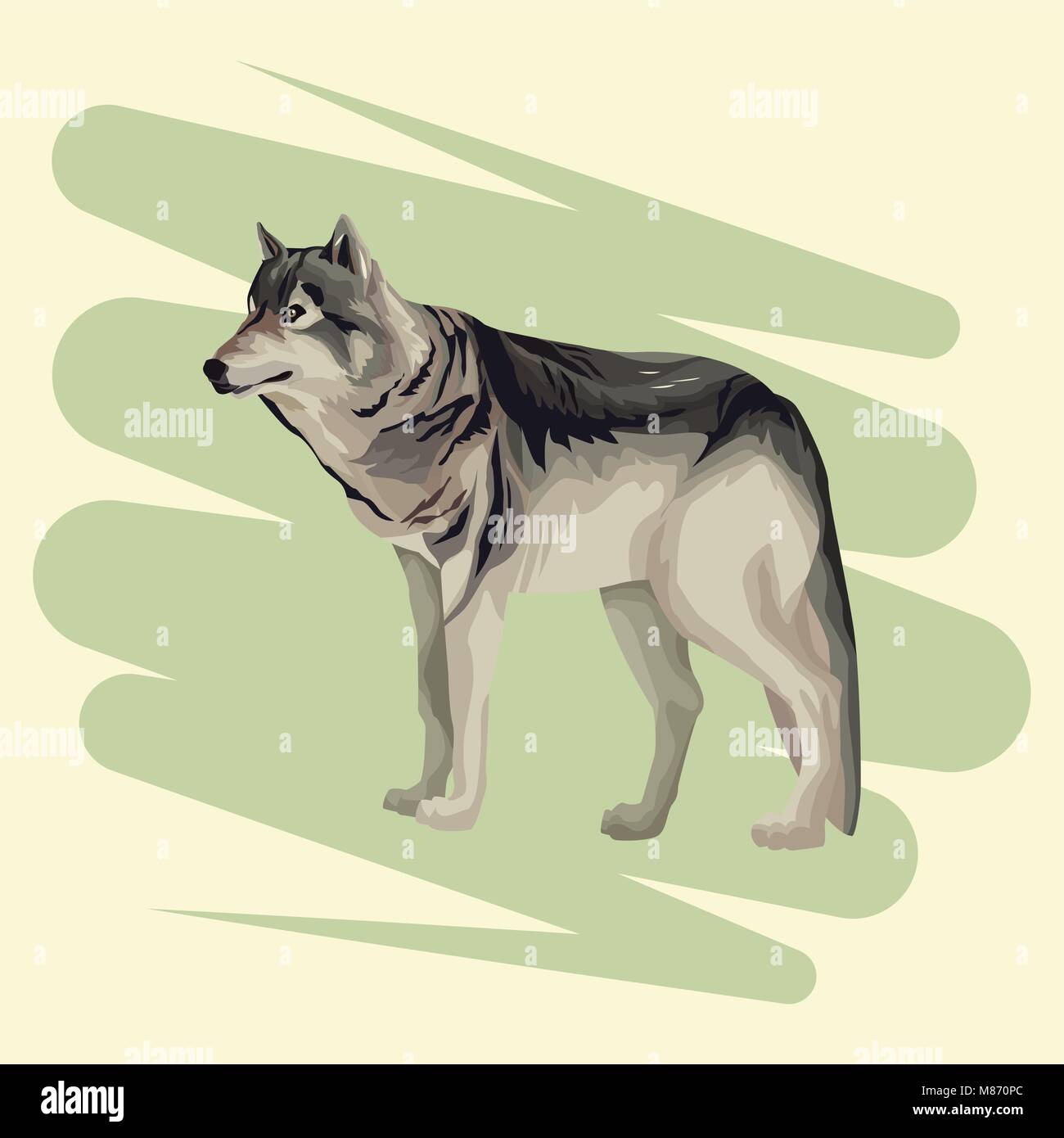 Wolf art drawing vector illustration graphic design Stock Vector Image ...