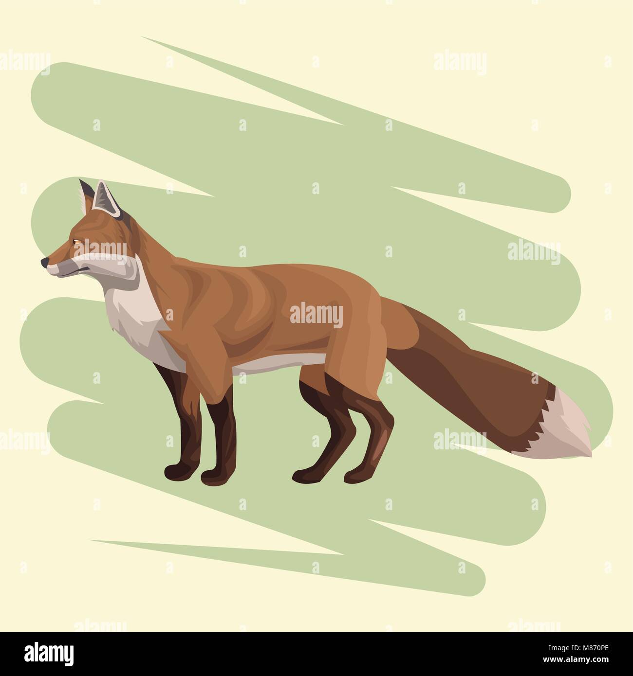 Fox art drawing vector illustration graphic design Stock Vector Image ...